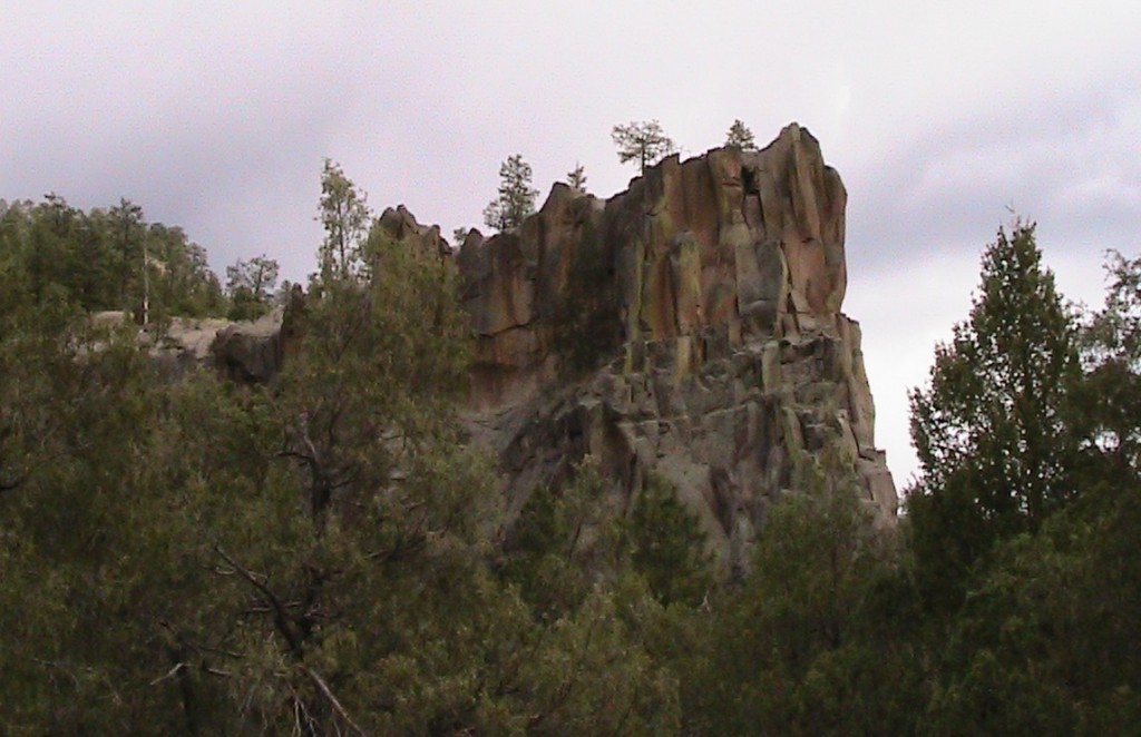 What Do the Four Soils in the Parable of the Sower Represent?